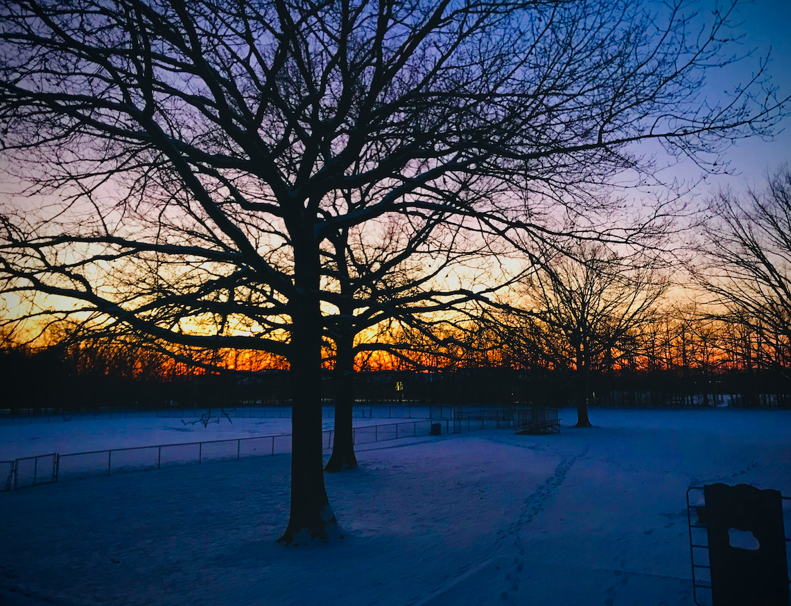 Colors of Winter, a Photo Diary – The Colonial