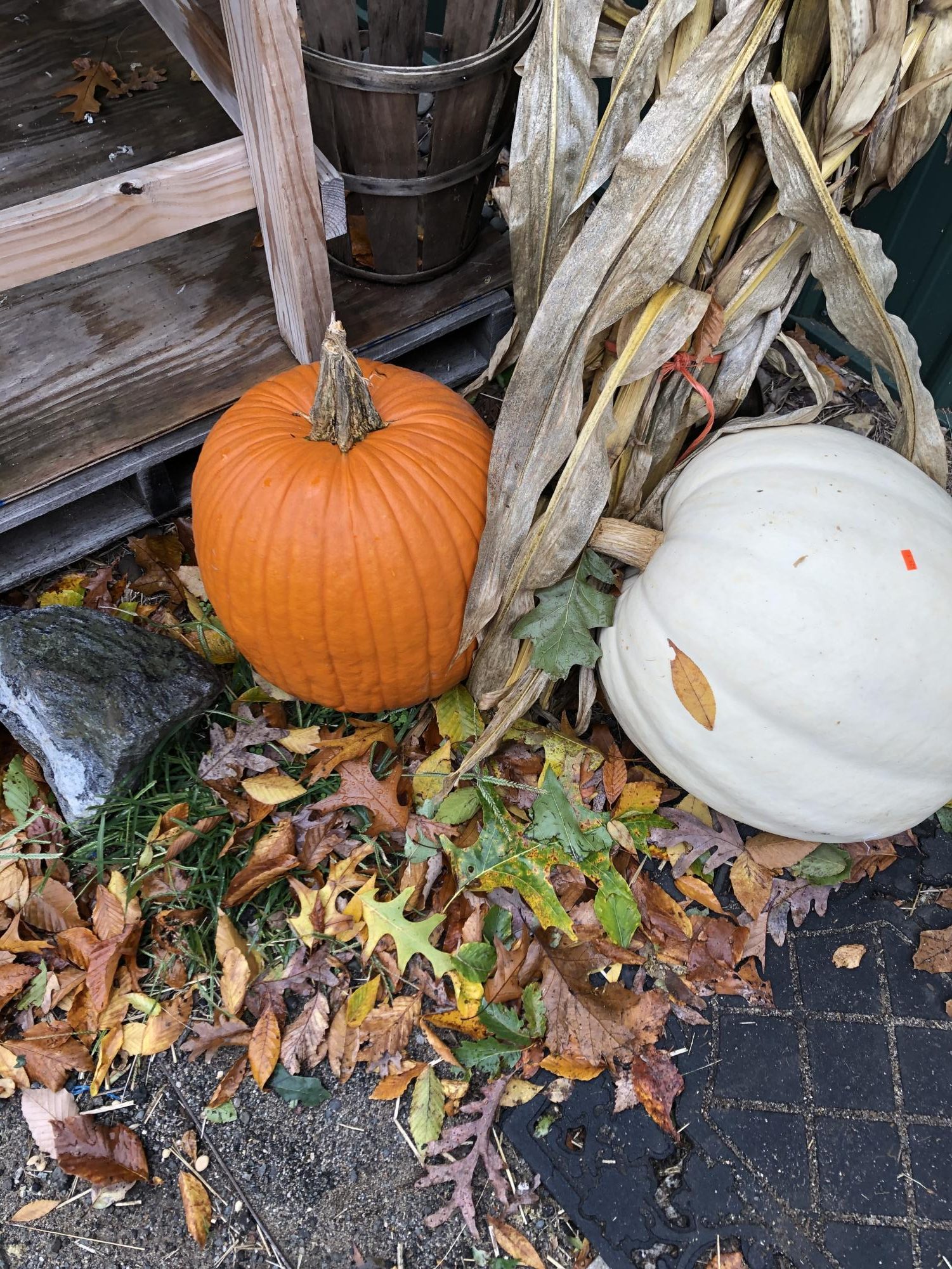 Fall ?? – The Colonial